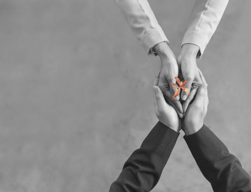 Digital Transformation in Textile & Apparel Industry | Datatex